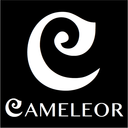 Cameleor - 3Dnatives